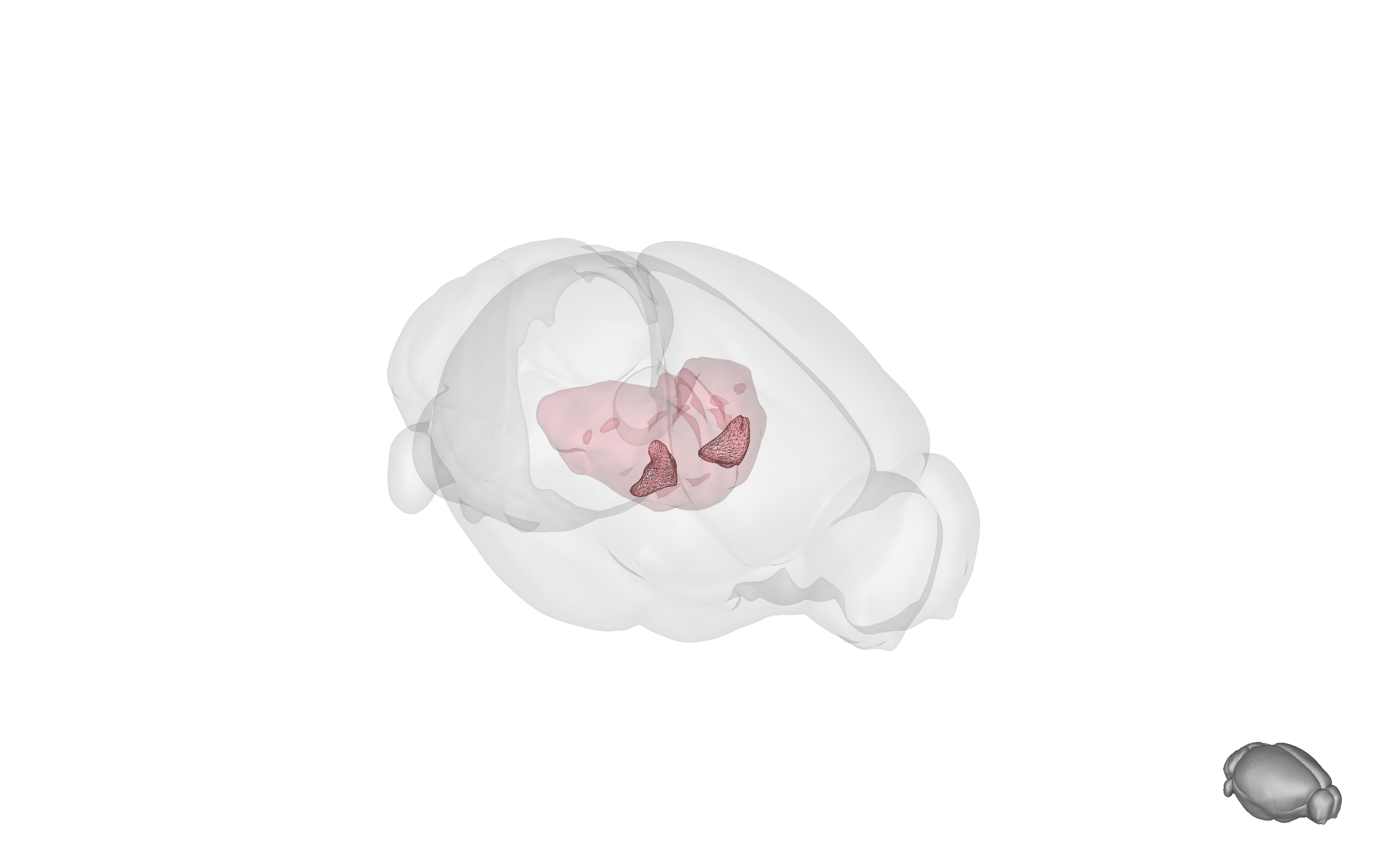 Rendering style · Issue #90 · brainglobe/brainrender · GitHub