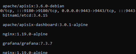 casbin plugin · Issue #2872 · apache/apisix-dashboard · GitHub