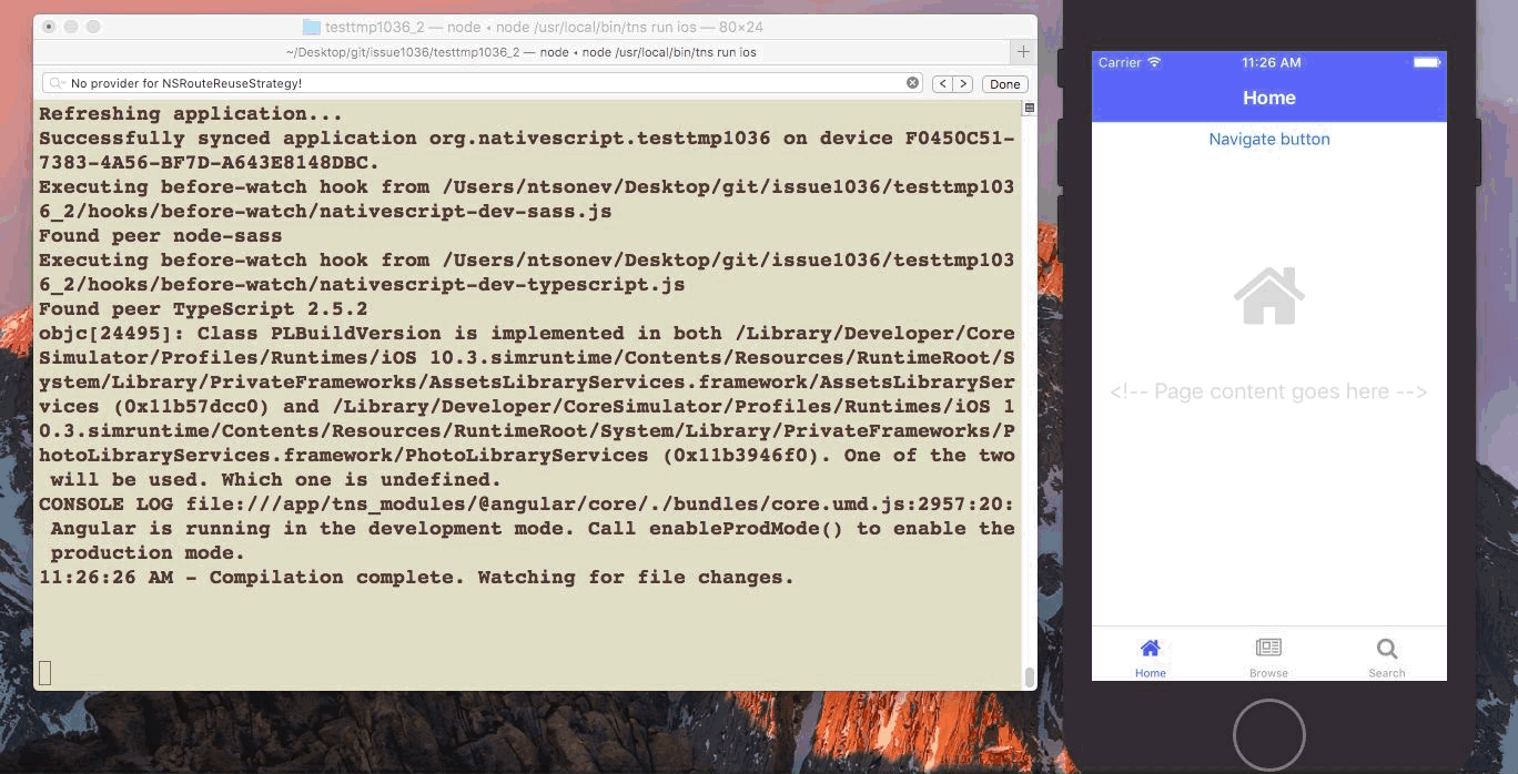 No provider for NSRouteReuseStrategy! nativescript-angular@4.4.0 · Issue #1036 · NativeScript ...