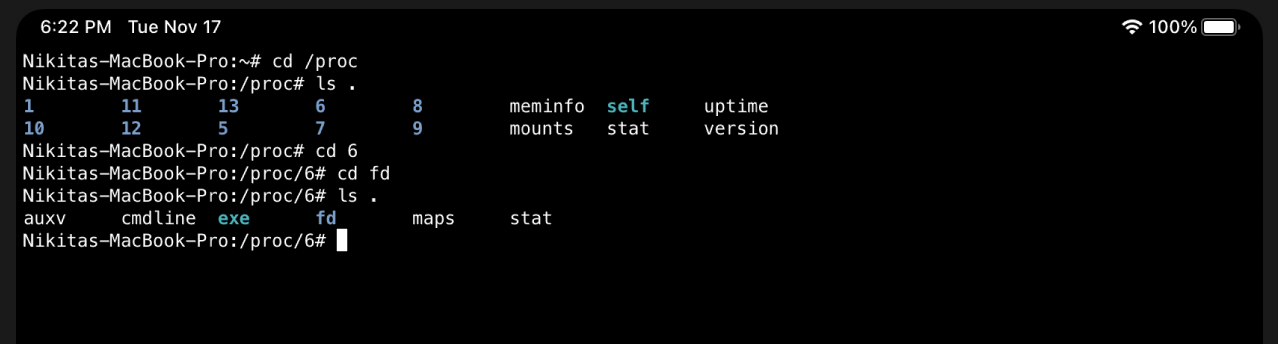 Can't reach /proc/[pid]/fd · Issue #1068 · ish-app/ish · GitHub