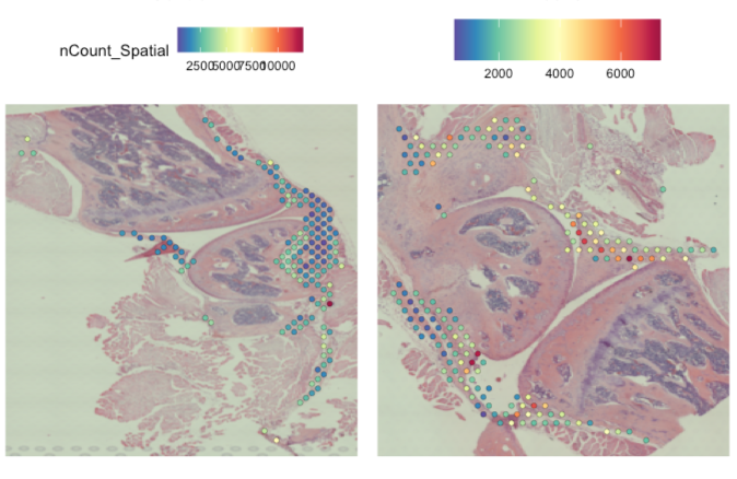 Visualization Of Spatial Data · Issue 5583 · Satijalabseurat · Github