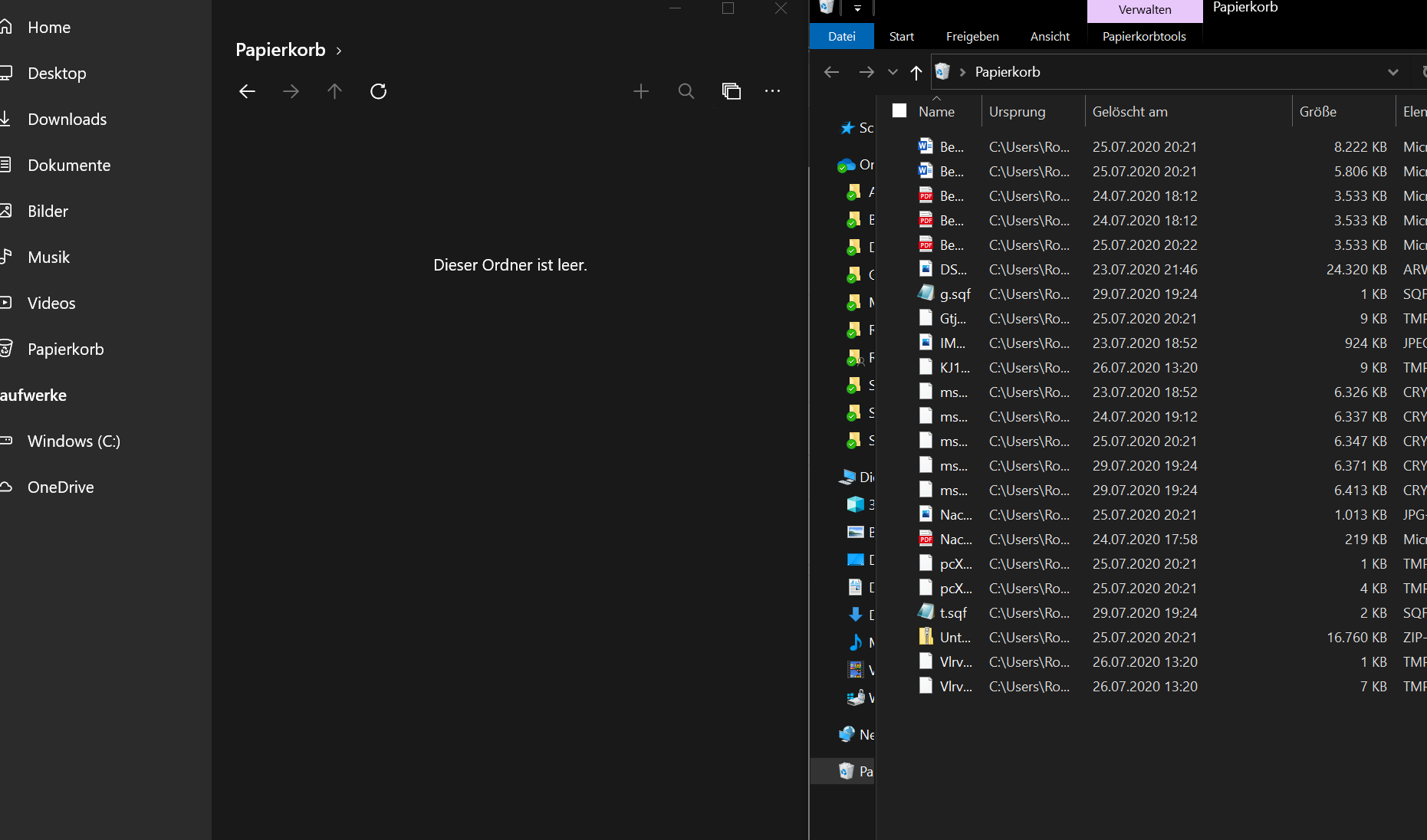 Recycle Bin is empty even though it has items in it · Issue #1611 ...