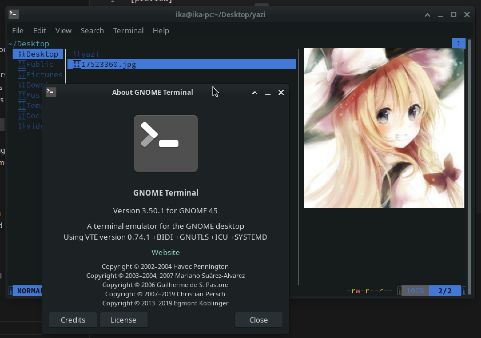 Image preview not working in gnome terminal · Issue #388 · sxyazi/yazi · GitHub