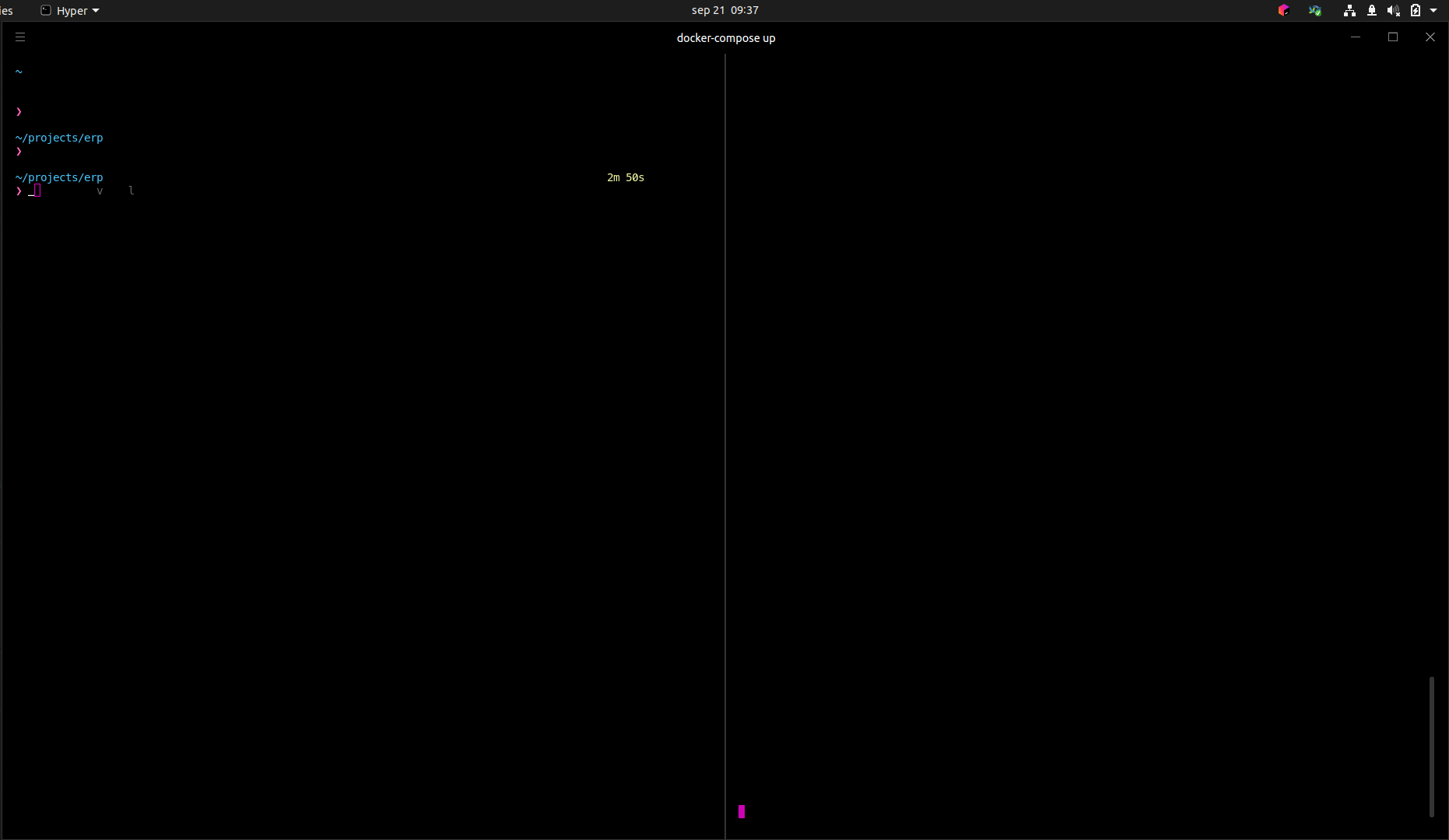 Terminal stops displaying text · Issue #5942 · vercel/hyper · GitHub