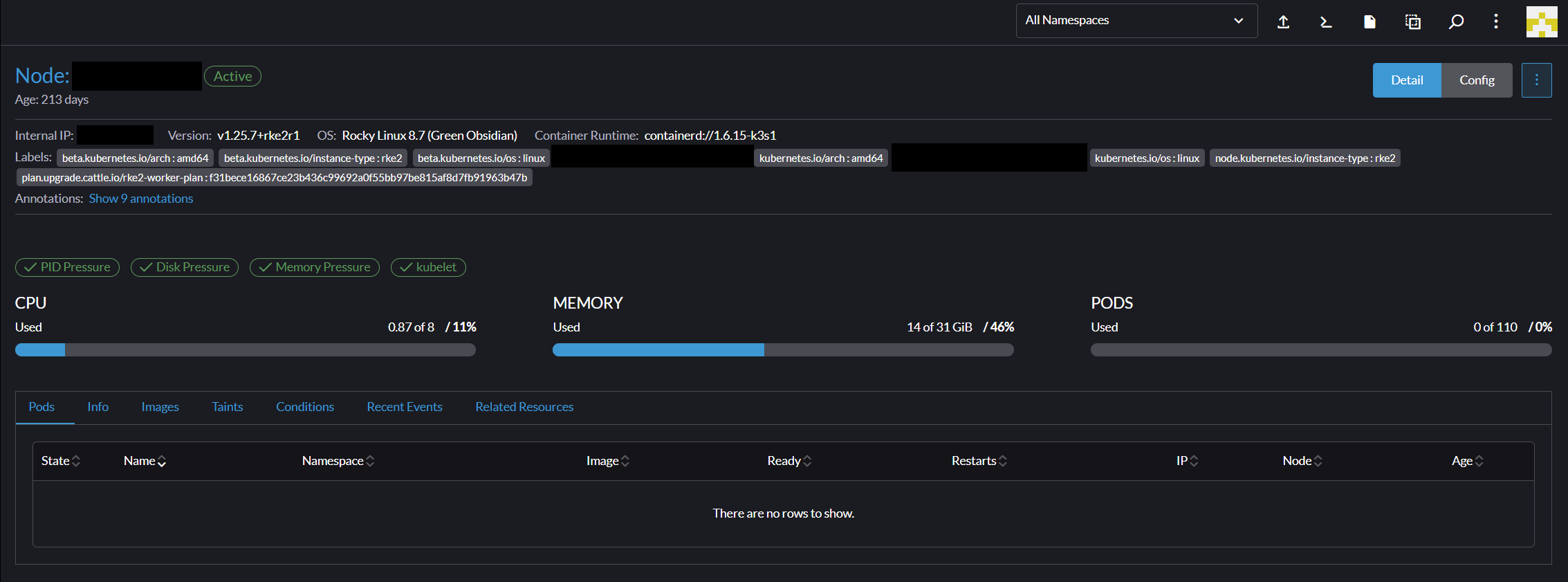 [BUG] Node Pods list is always empty · Issue #8725 · rancher/dashboard · GitHub