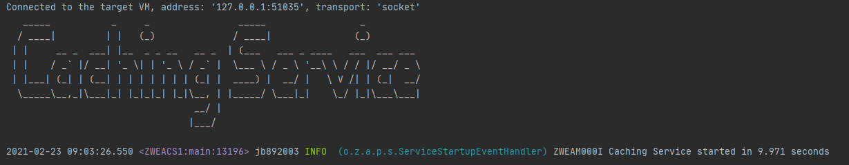 HA: Caching service: Logging for production instance · Issue #1000 · zowe/api-layer · GitHub