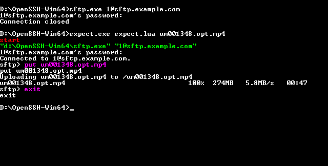 Segfault when using OpenSSH-Win64 · Issue #8 · hymkor/expect · GitHub