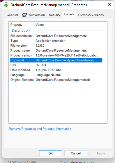 Resources Tag Helper Behaves Differently In Dotnet Run And Published Binary In Net 6 And 120 