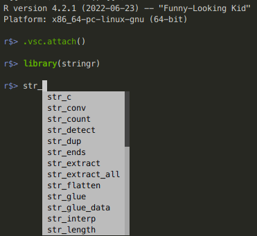 Completion in VSCode does not work for loaded packages · Issue #580 · REditorSupport ...