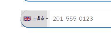separateDialCode Shows double arrow beside flag when it is on · Issue #1103 · jackocnr/intl-tel ...