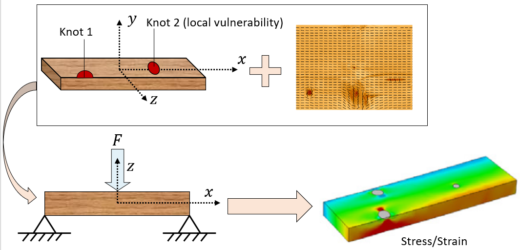 Best practice to define local coordinate for orthotropic material ...
