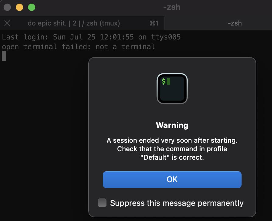 p10k might be interfering with the ohmyzsh tmux plugin · Issue #1506 · romkatv/powerlevel10k ...