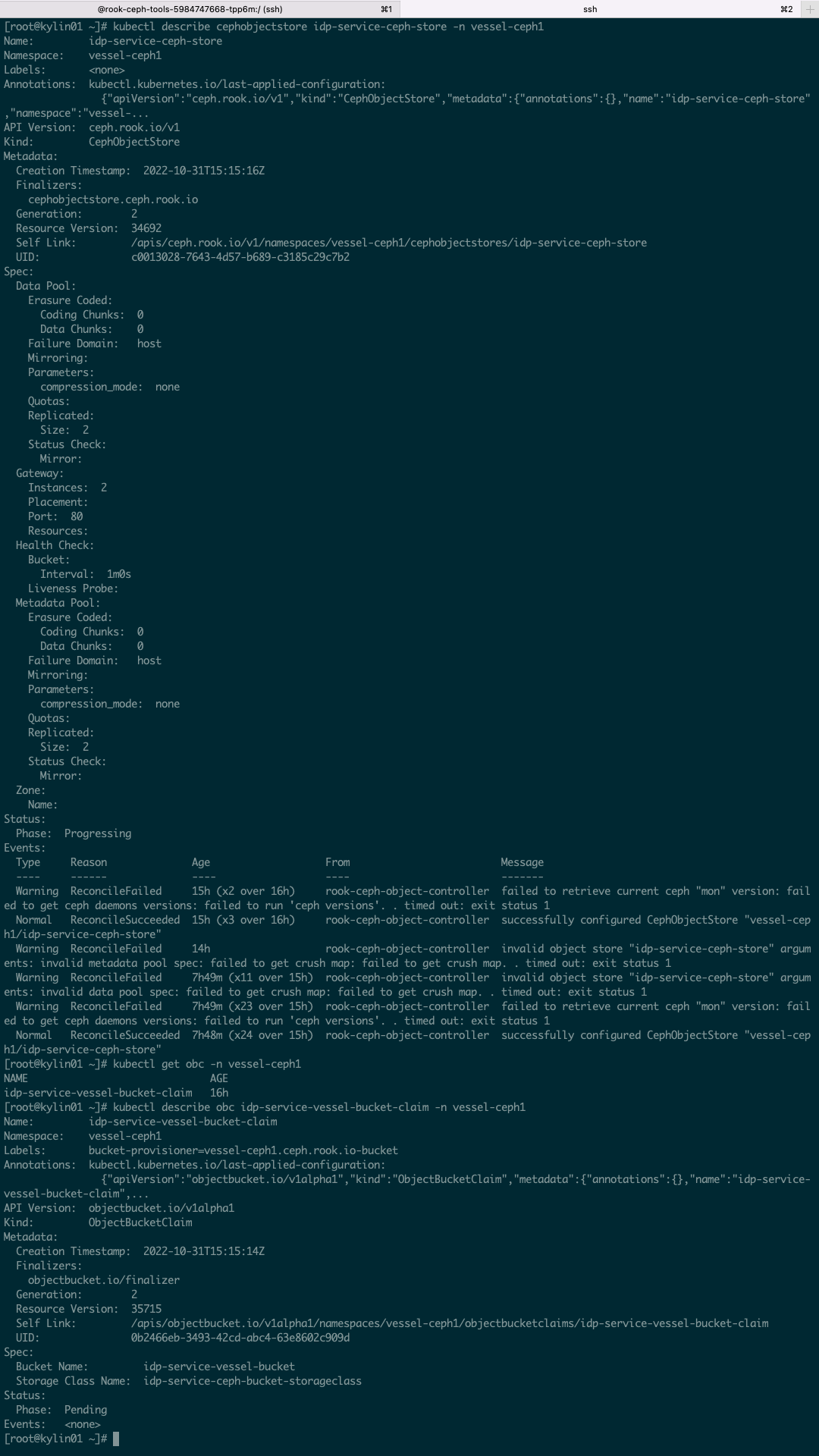 rook-ceph not starting properly on kylin V10 SP1 · Issue #11253 · rook/rook · GitHub