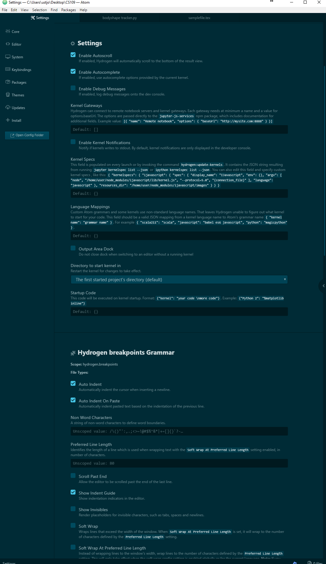 Hydrogen Kernel Issue · Issue #950 · nteract/hydrogen · GitHub