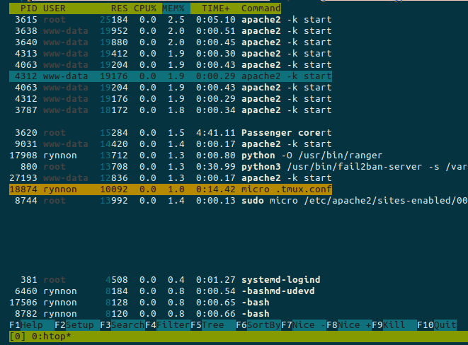 shift is not recognized in screen/tmux session · Issue #983 · zyedidia/micro · GitHub