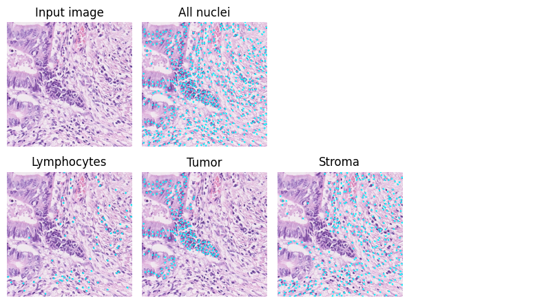 high level understanding of how to apply this model to new images · Issue #5 · TopoXLab ...