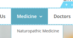 🐞 Nav Menu Submenu Indicator doesn't inherit hover color on frontend · Issue #17500 · elementor ...