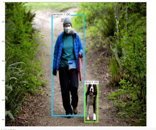 GitHub - kiki-sarpong/Object_detection_tracking_segmentation