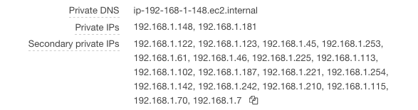 Eksctl Nodes Have A Bazillion Private Ips · Issue 1556 · Eksctl Ioeksctl · Github 0086
