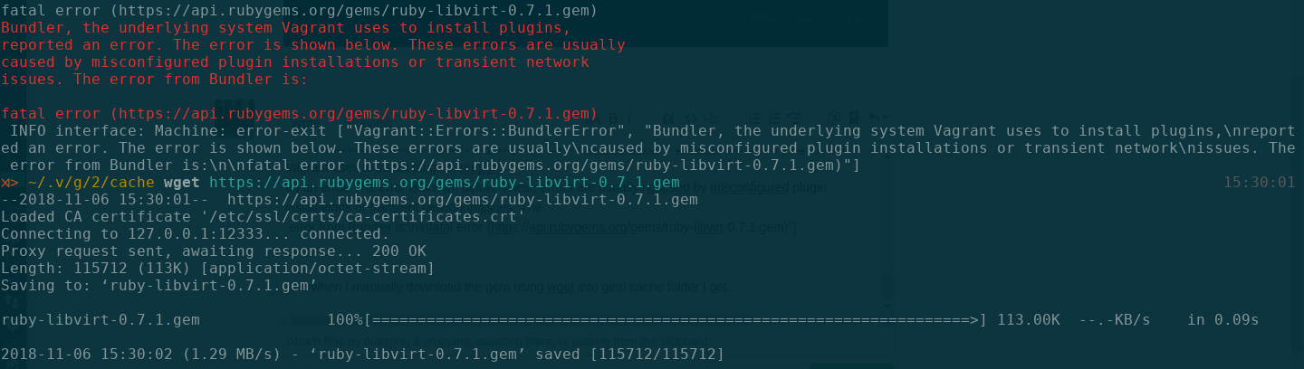 vagrant plugin failed when download plugins · Issue #10373 · hashicorp/vagrant · GitHub