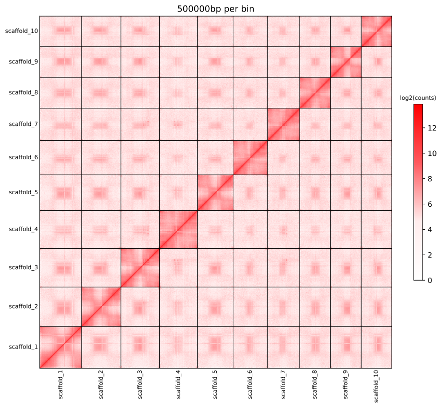 Difference between v1.2 and v1.2a.1? · Issue #71 · c-zhou/yahs · GitHub