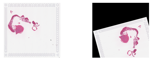 pairwise alignement on H&E images · Issue #23 · raphael-group/paste · GitHub