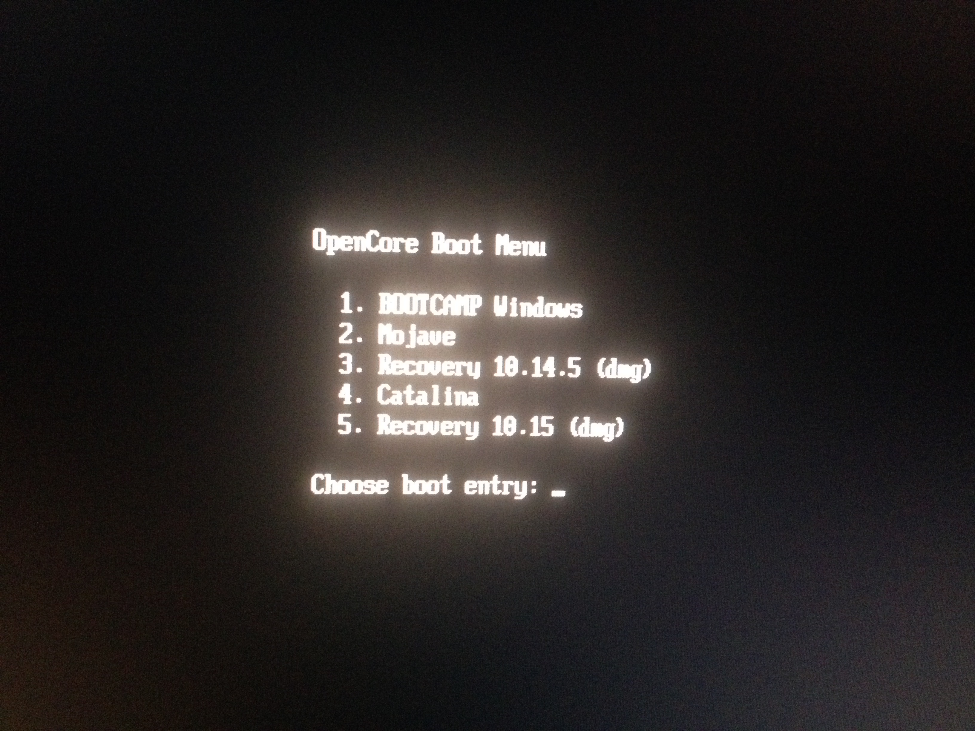 Recovery 10.15 (dmg) fail · Issue #360 · acidanthera/bugtracker · GitHub
