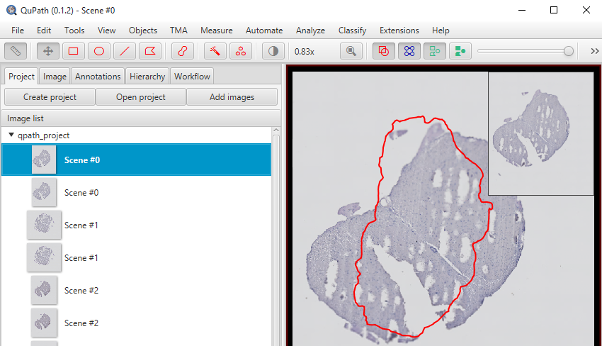Run a script for a project · Issue #103 · qupath/qupath · GitHub
