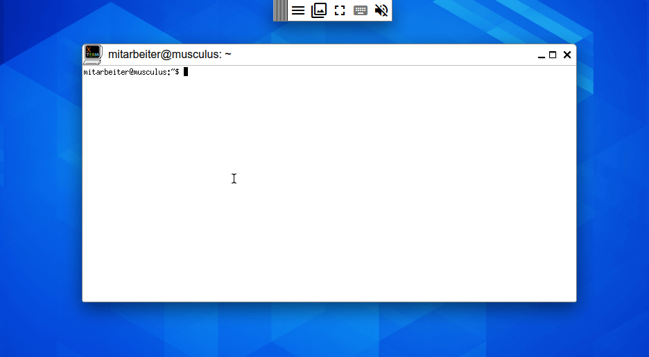 Flickering/Frozen windows with offscreen decoding · Issue #212 · Xpra-org/xpra-html5 · GitHub