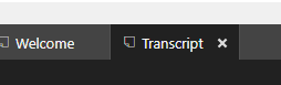 If you open the same transcript twice the tab title changes to ...