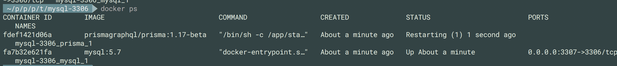 Cannot Connect Prisma To A Local Mysql Container On A Different Port Than 3306 · Issue 3153