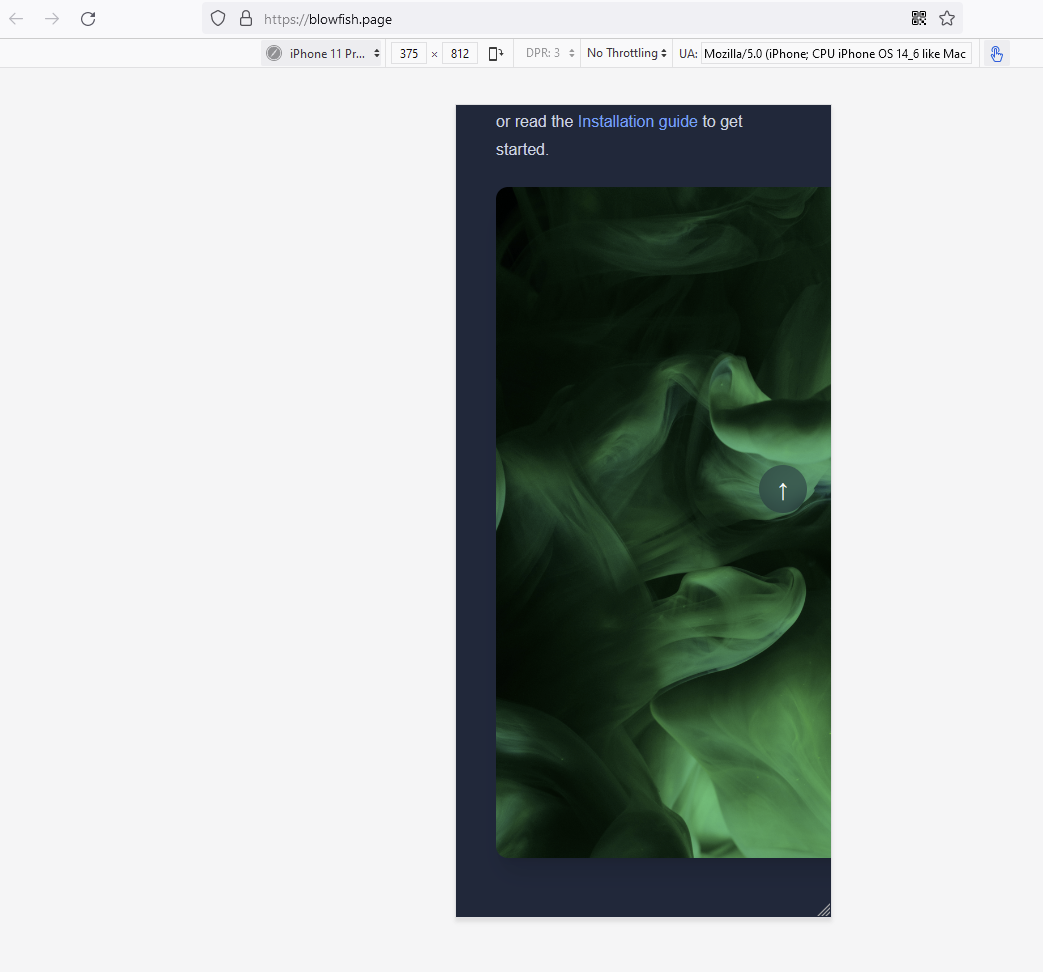 :bug: Card Hompage Layout Lacks Responsiveness on Mobile · Issue #516 · nunocoracao/blowfish ...