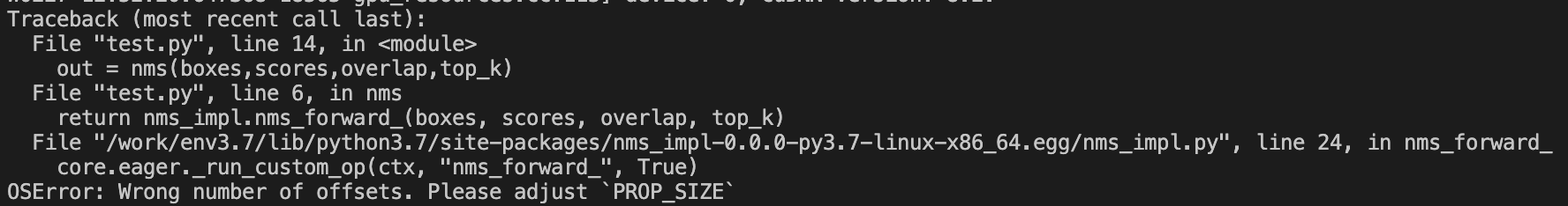 自定义NMS出错 · Issue #50896 · PaddlePaddle/Paddle · GitHub