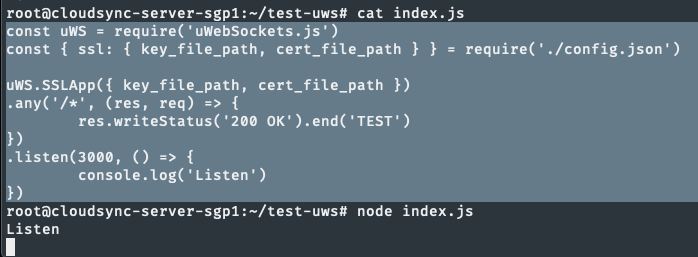 Fix bug on Linux by hans00 · Pull Request #239 · uNetworking/uWebSockets.js · GitHub