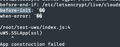 Fix bug on Linux by hans00 · Pull Request #239 · uNetworking/uWebSockets.js · GitHub