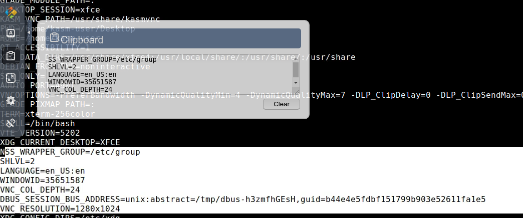 Allow clipboard access to be disabled · Issue #48 · kasmtech/KasmVNC · GitHub