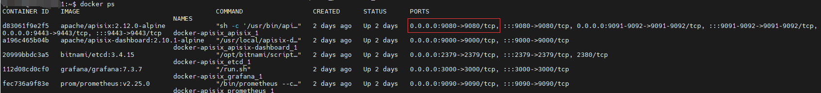 help request: Use Nginx as proxy service, return 404 not found · Issue #6648 · apache/apisix ...