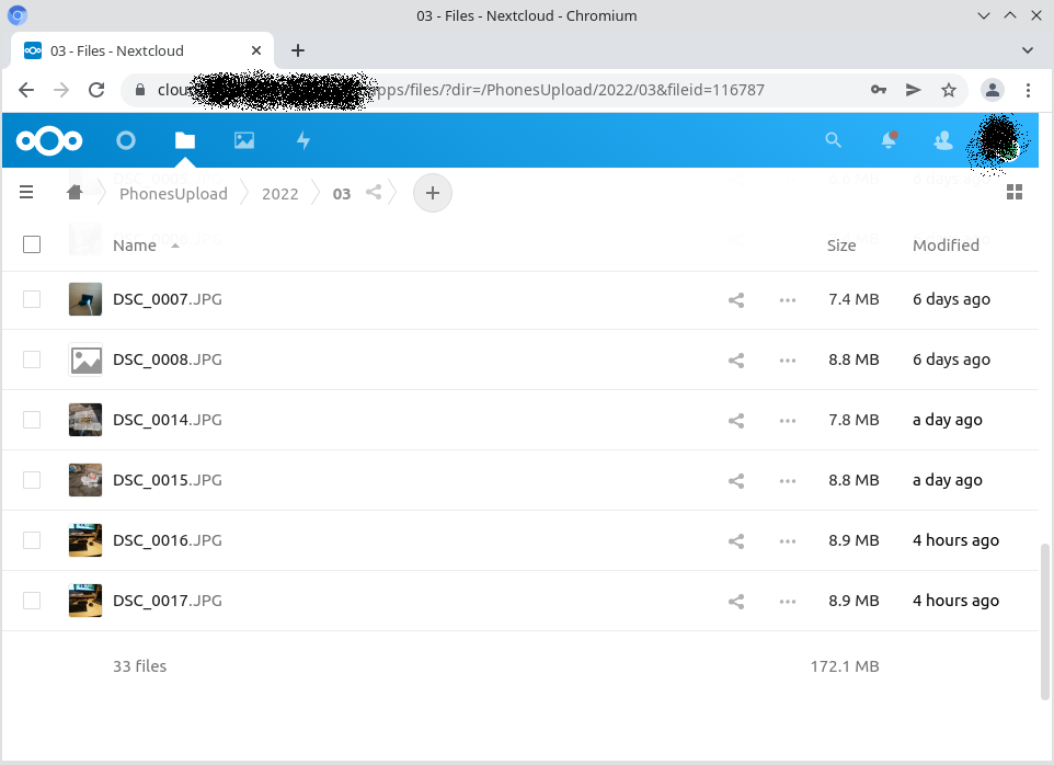 [Bug]: Error 503 on file sync (Failed to open stream: No such file or directory) · Issue #232 ...