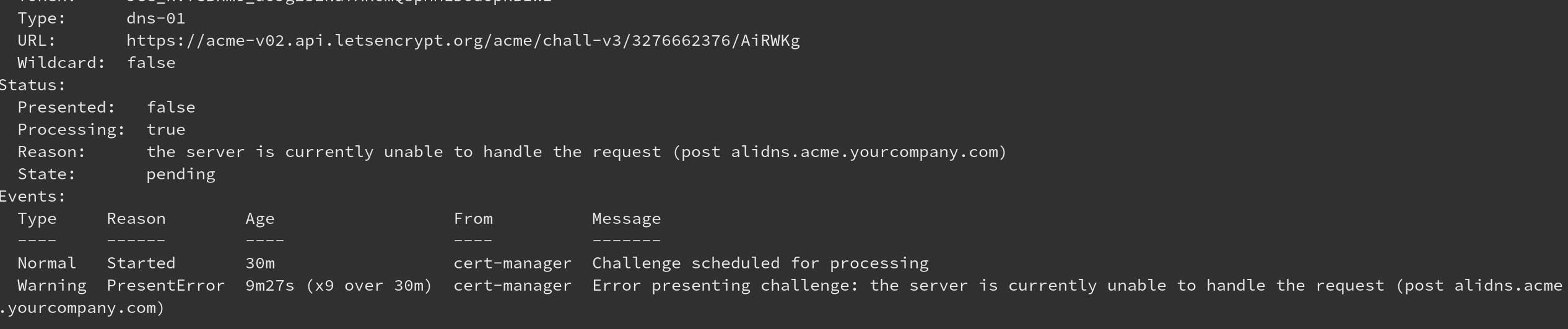 use alidns-webhook error · Issue #2680 · cert-manager/cert-manager · GitHub