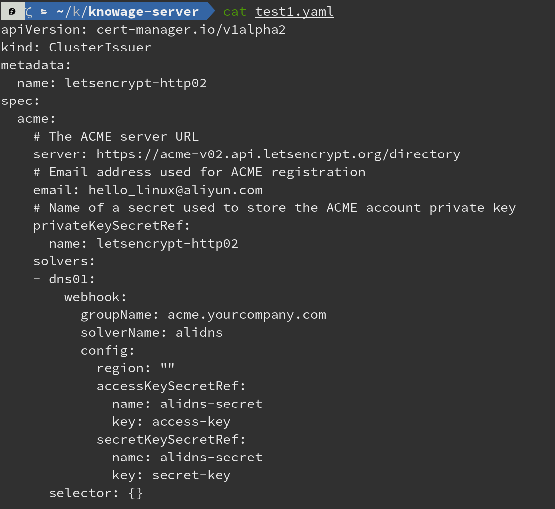 use alidns-webhook error · Issue #2680 · cert-manager/cert-manager · GitHub