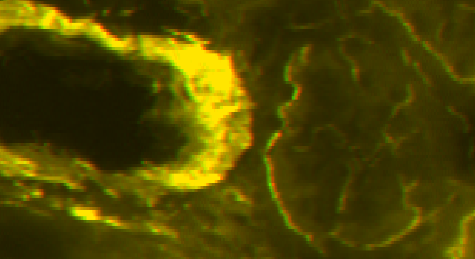 elastix resampled image from transformix and ItkTransform resampled ...