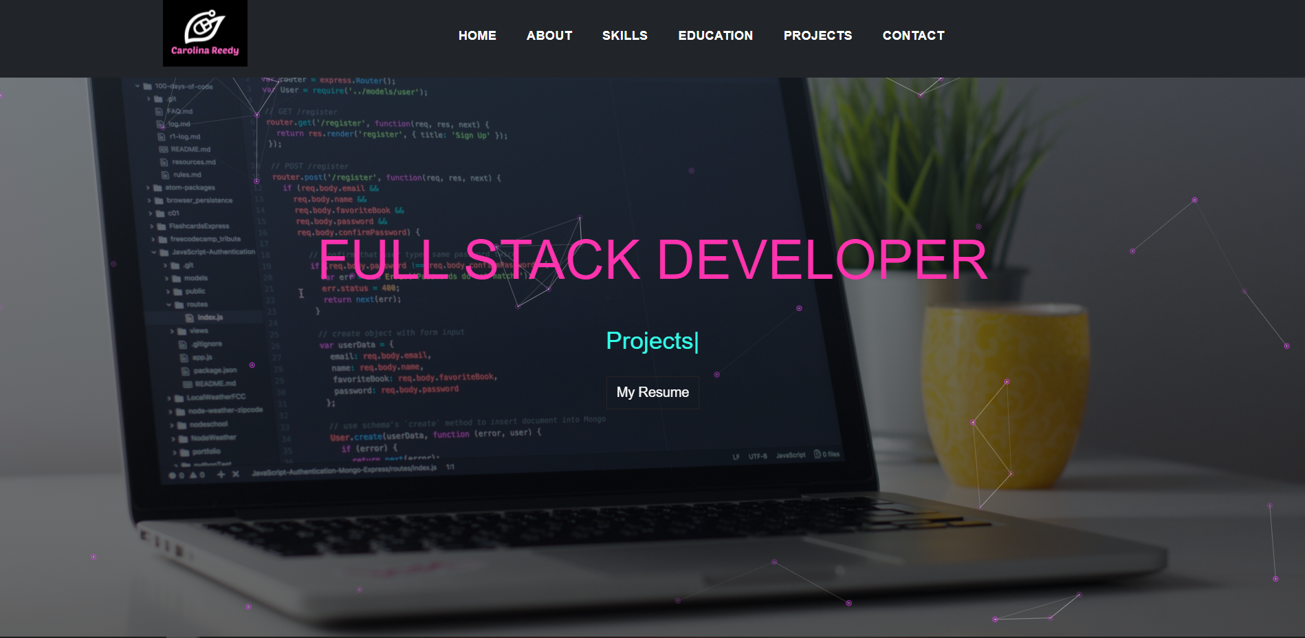 GitHub - carinvid/react-portfolio