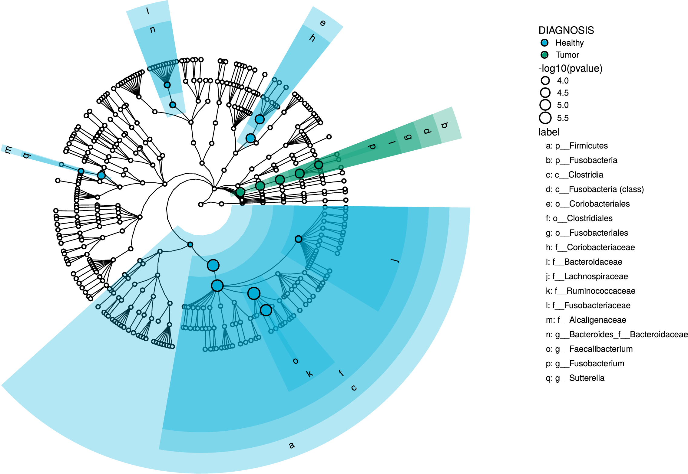 How to get a subset of the diff_analysis class object? · Issue #26 · YuLab-SMU/MicrobiotaProcess ...