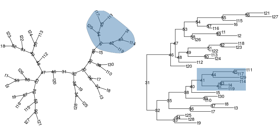 Graph layout by xiangpin · Pull Request #461 · YuLab-SMU/ggtree · GitHub