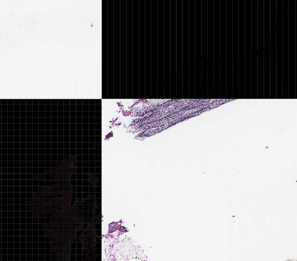 Wsis Appear Dark Black When I Convert Svs Files To 10x Or Lower Scale Factor · Issue 206