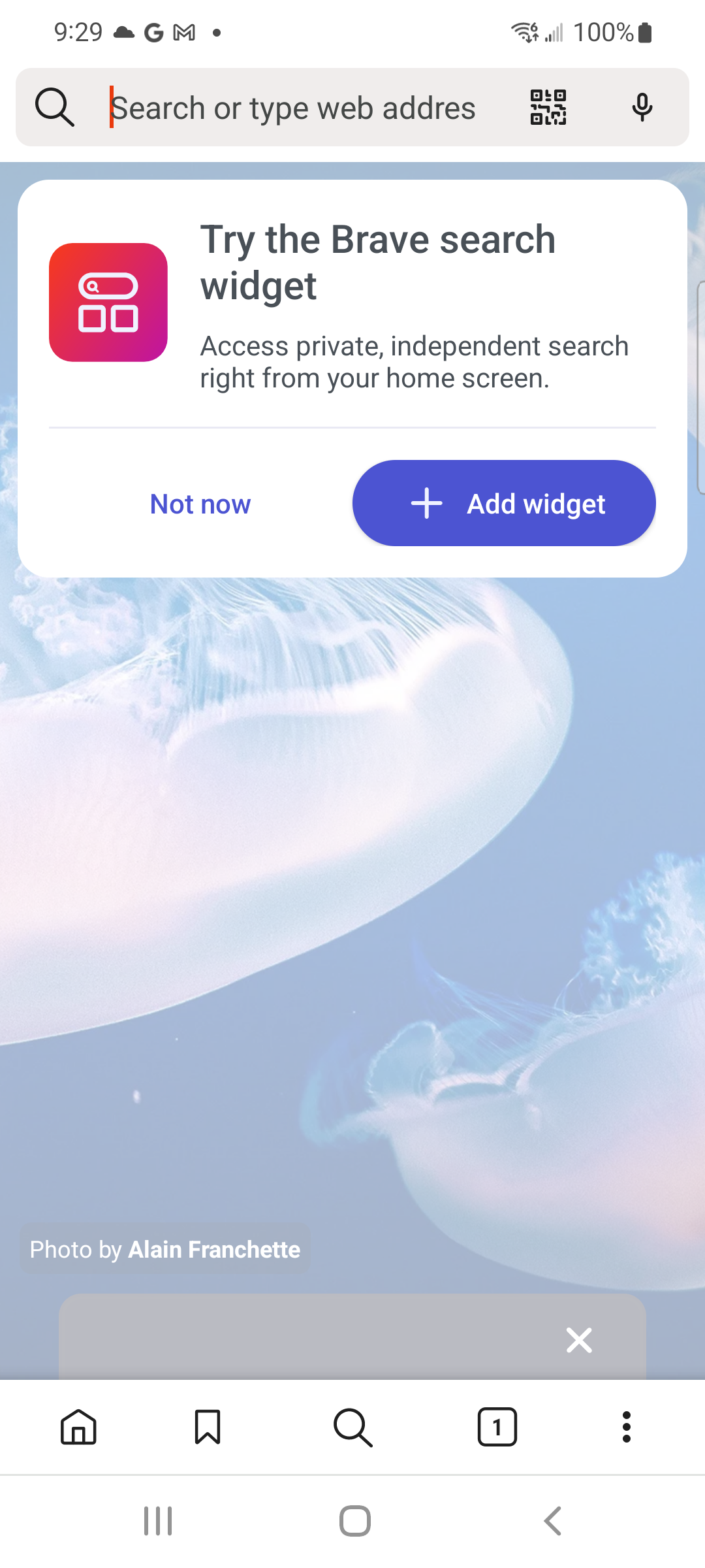 Brave search widget callout button text is cut off [Galaxy S21] · Issue ...