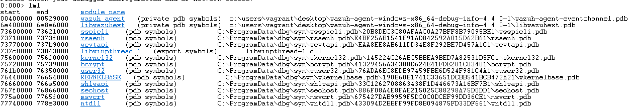 Wazuh core dump enabling and analysis - exploratory session · Issue #13315 · wazuh/wazuh · GitHub