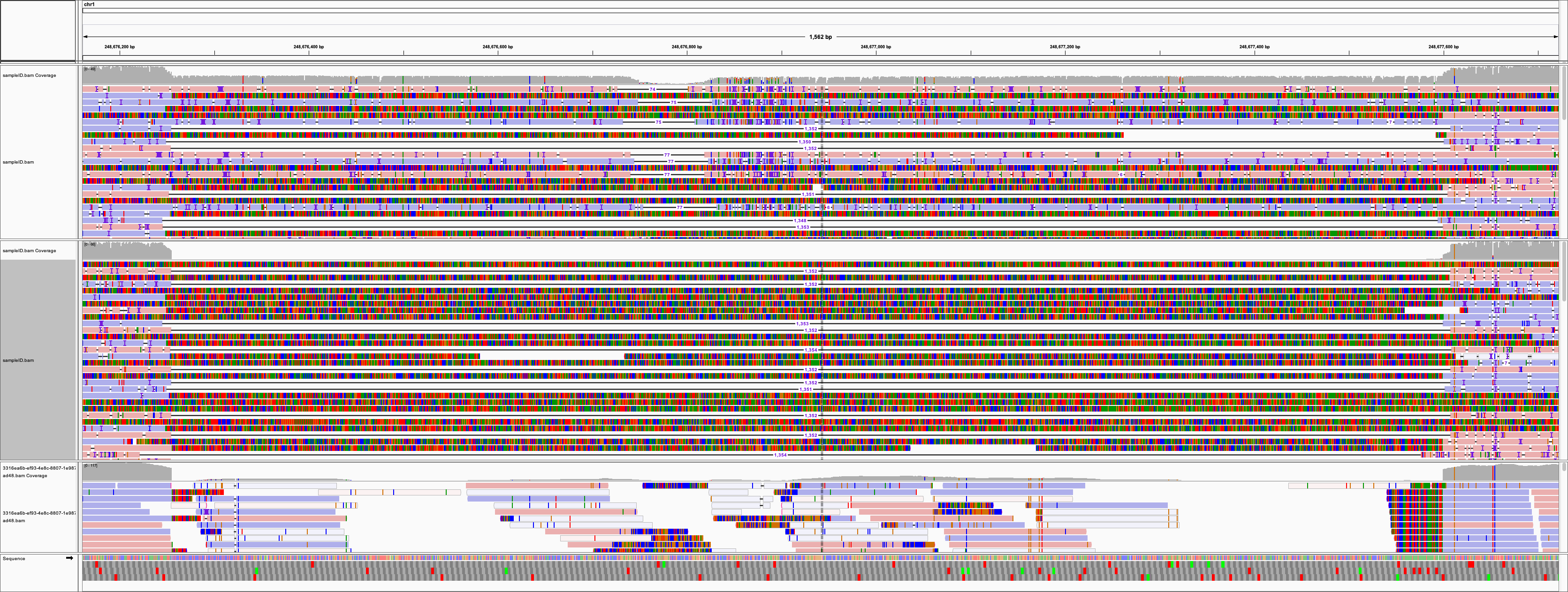 Show soft clipped bases · Issue #826 · igvteam/igv · GitHub