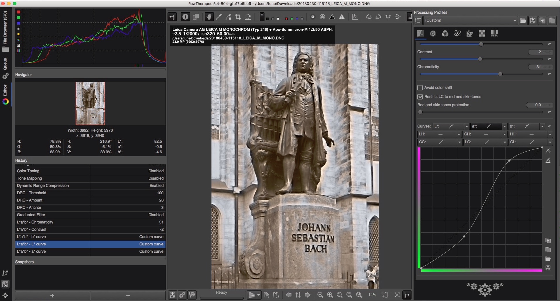 Leica Camera AG LEICA M MONOCHROM (Typ 246) support · Issue #4785 · RawTherapee/RawTherapee · GitHub