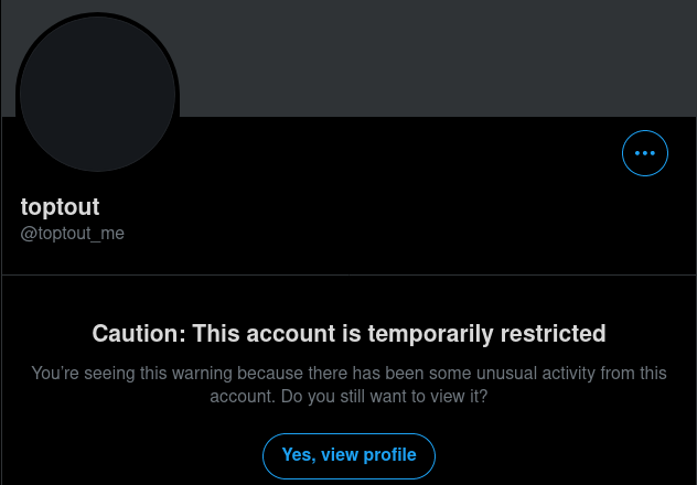 Twitter account is temporarily restricted · Issue #238 · beatcracker ...